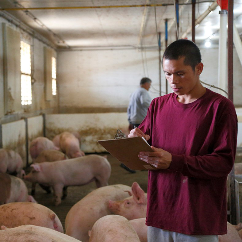 Pork producer with checklist